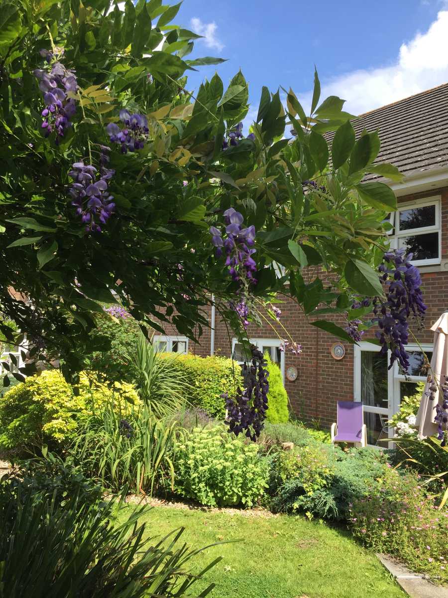 Top 5 Most Beautiful Care Home Gardens in the UK!